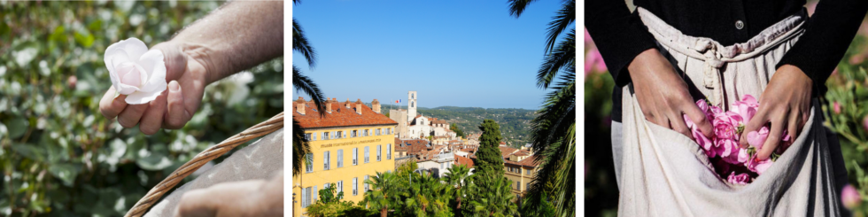 ABOUT US | PERFUMIST